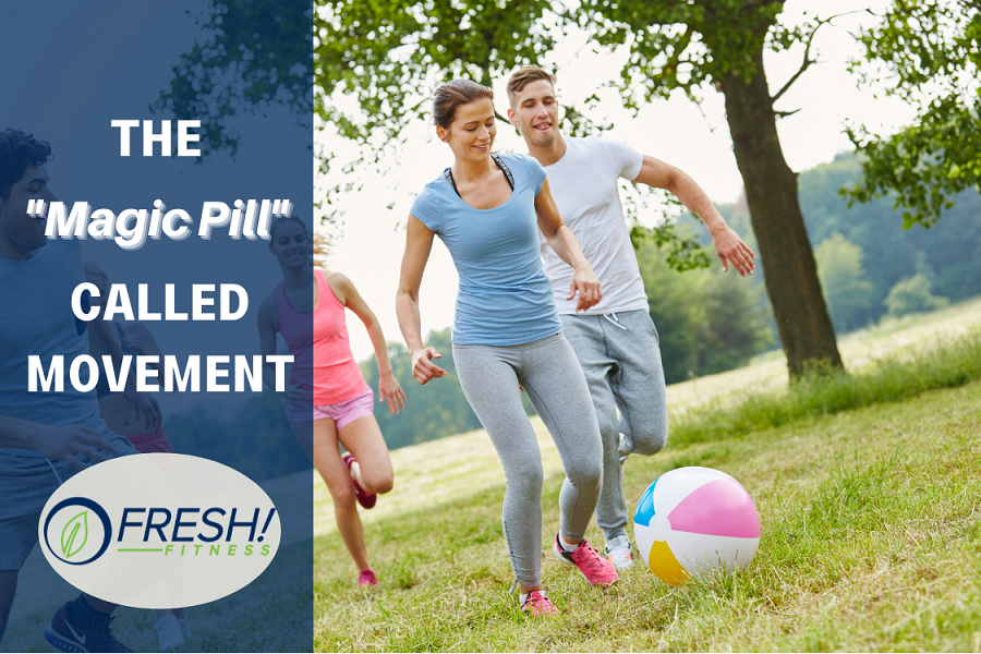 Movement And Exercise - FRESH! Fitness